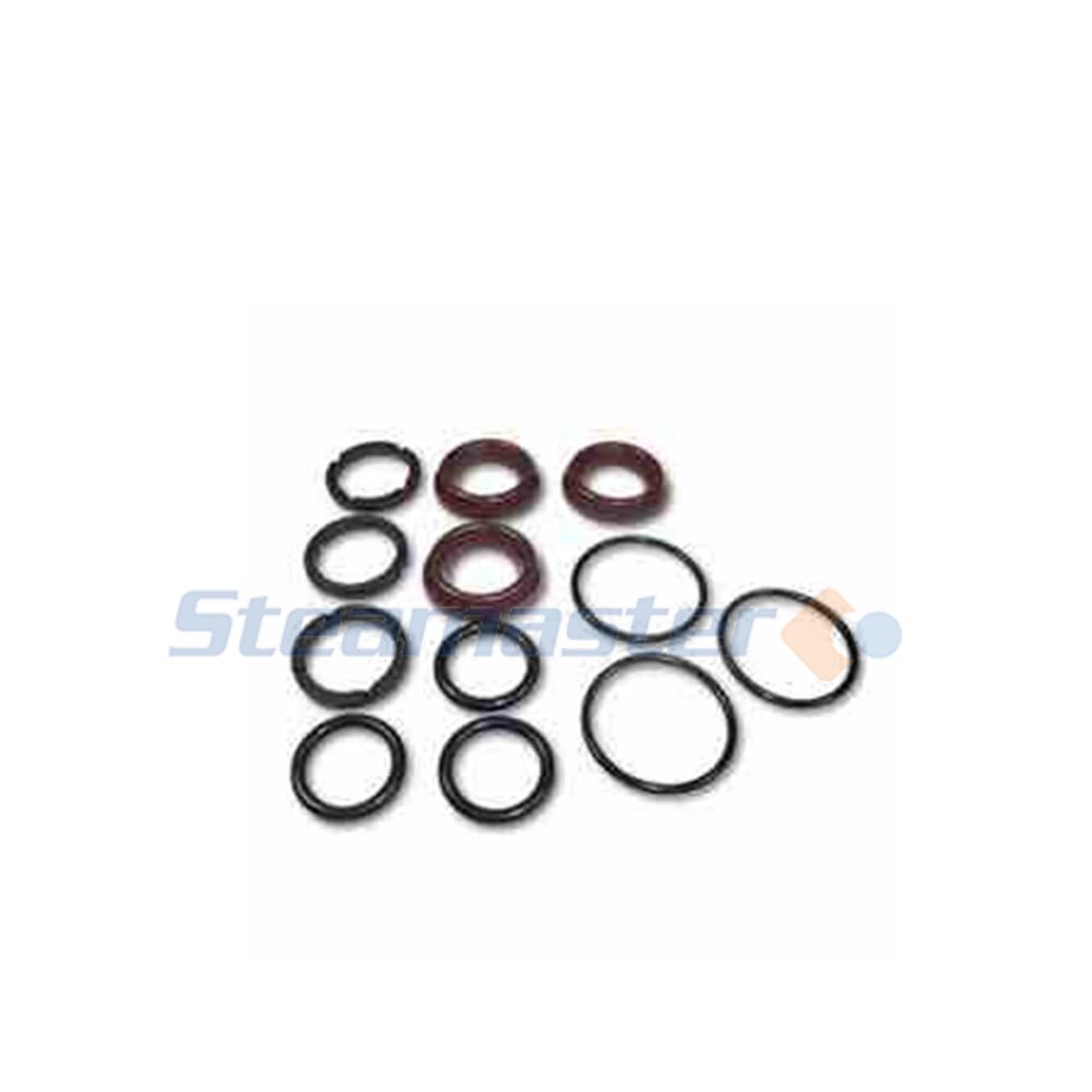 Interpump Kit 97 Water Seals - Steamaster