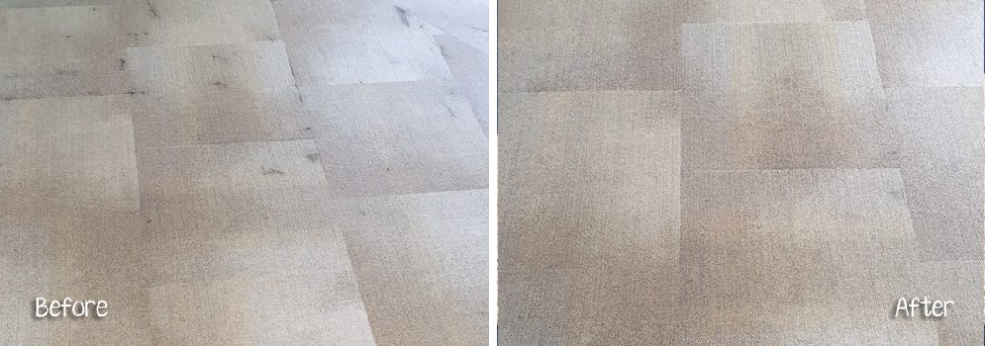 Encapsulation Solution(5L) - Synthetic and Wool Carpets Cleaner