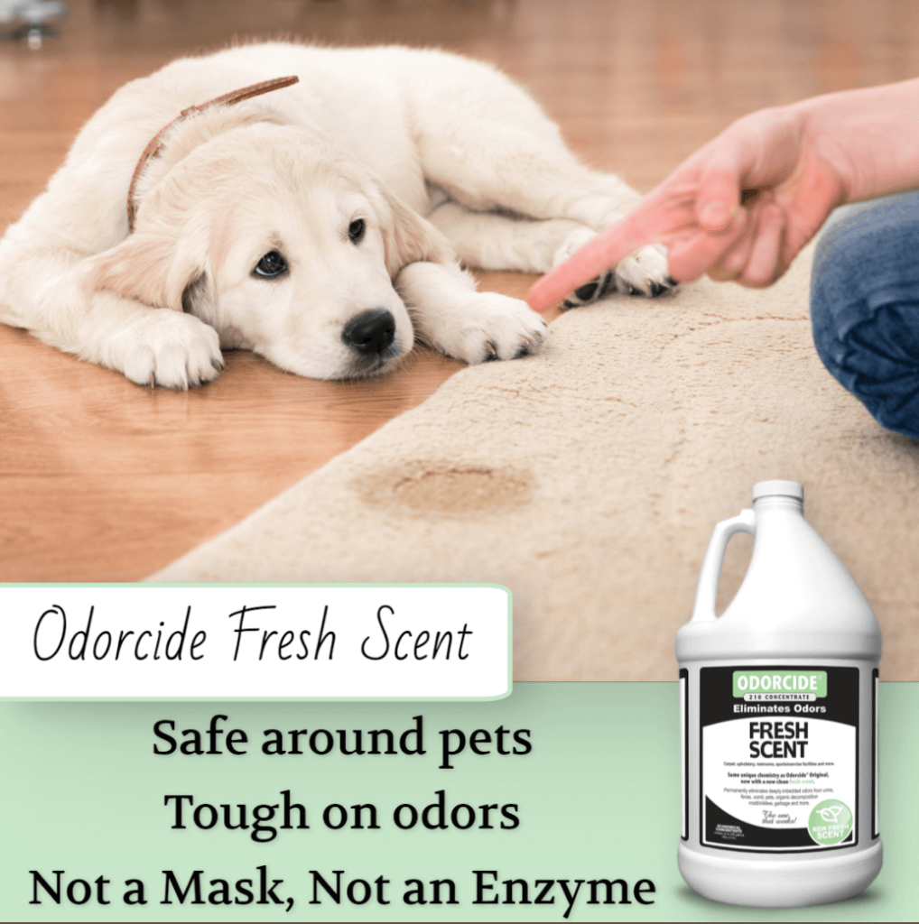 Odorcide Fresh Scent, Eliminates Odours 3.78L